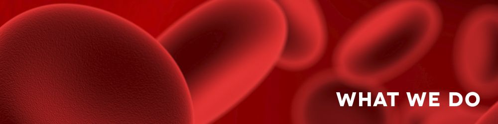 British Blood Transfusion Society - Components Presentations